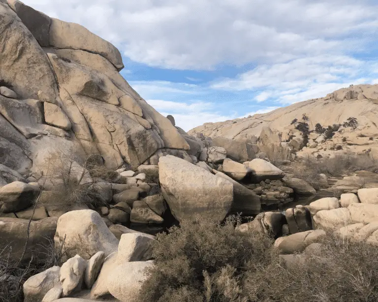 A Day Trip to Joshua Tree: 8 Can’t Miss Activities in Joshua Tree ...
