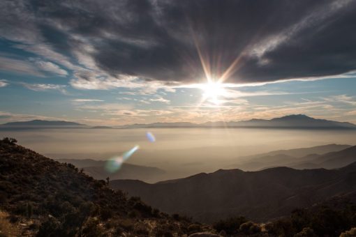 A Day Trip to Joshua Tree: 8 Can’t Miss Activities in Joshua Tree ...
