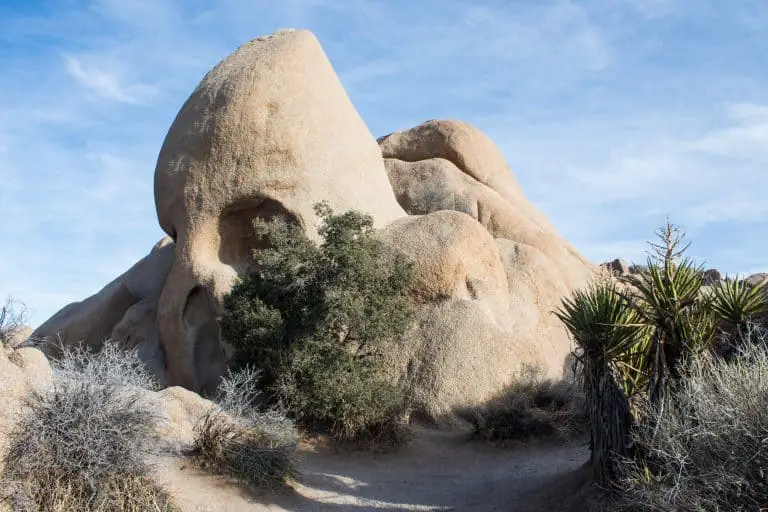 A Day Trip to Joshua Tree: 8 Can’t Miss Activities in Joshua Tree ...