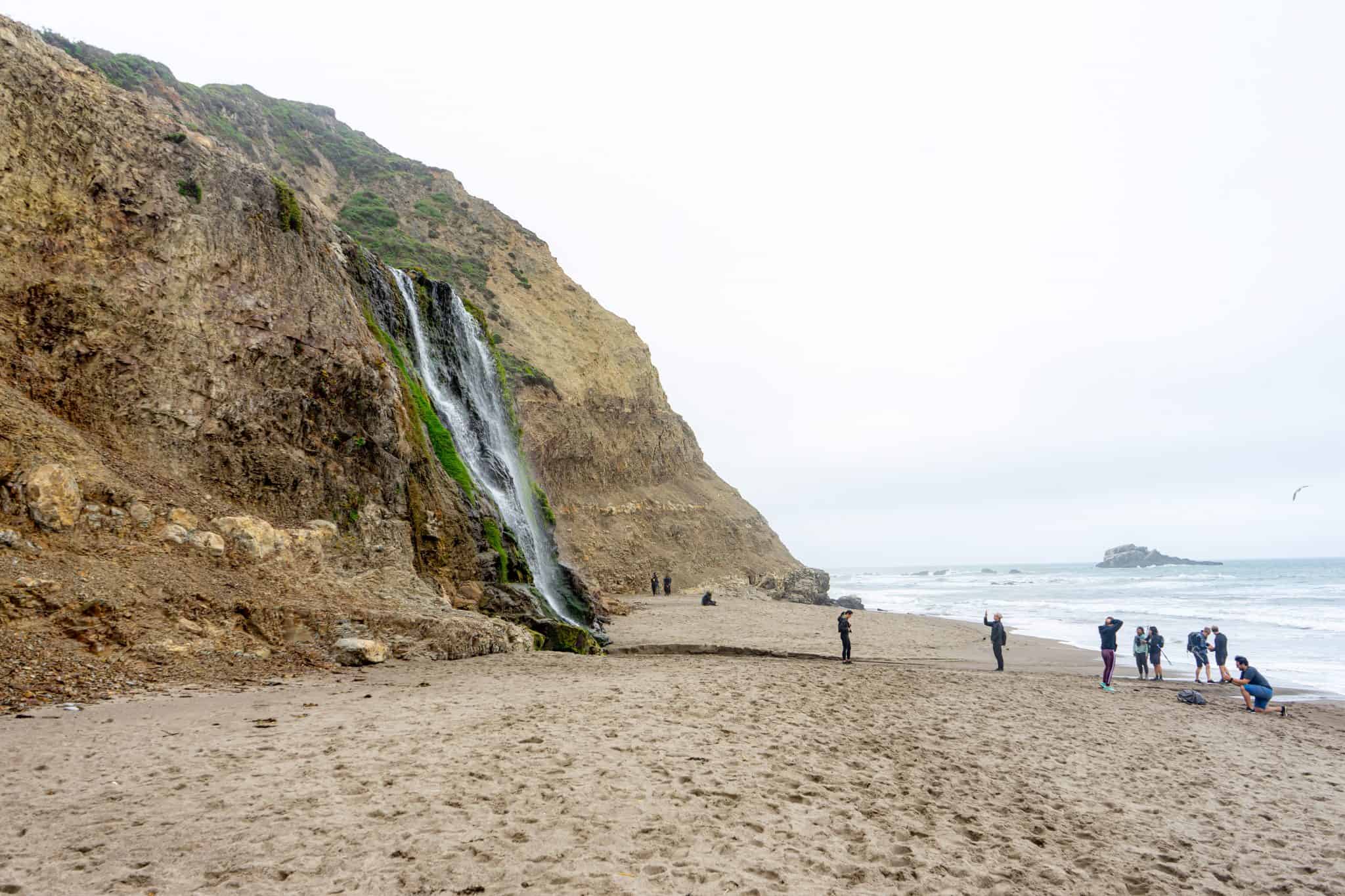 Palomarin Trailhead to Alamere Falls: One of the Best Hikes in Point ...