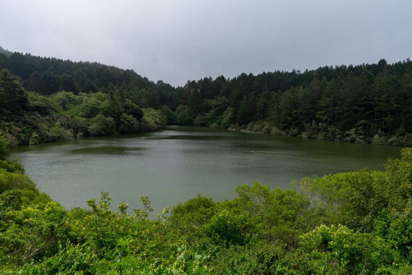 Palomarin Trailhead to Alamere Falls: One of the Best Hikes in Point ...