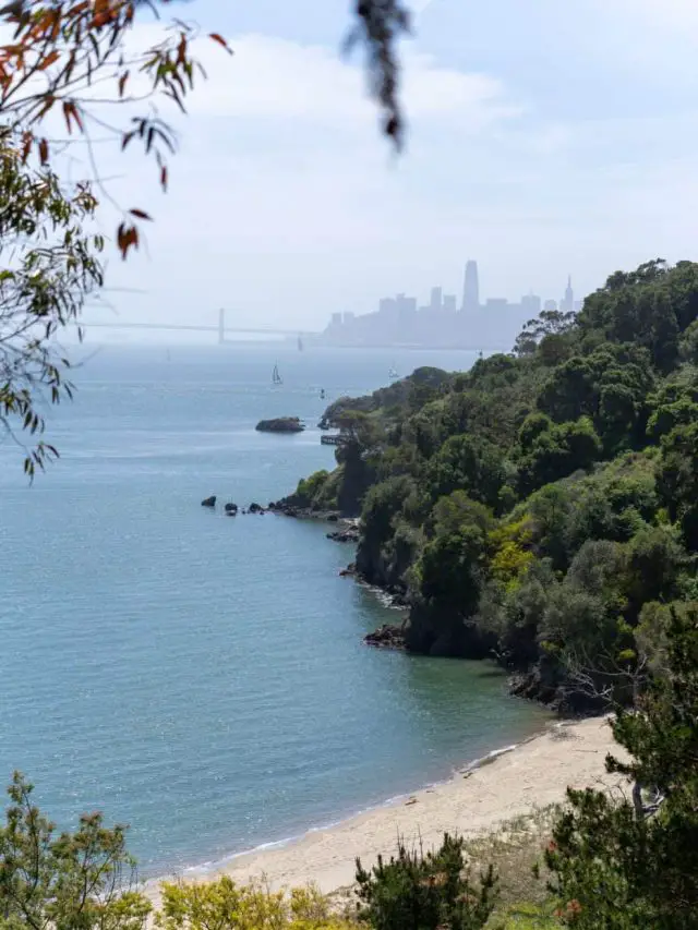 Things to do on Angel Island Story - Just Chasing Sunsets