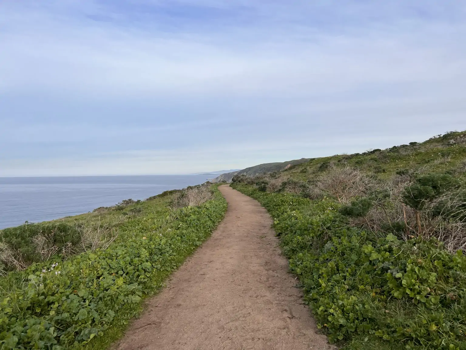 The 5 Best Hikes in Point Reyes National Seashore - Just Chasing Sunsets