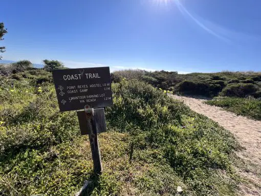 The 5 Best Hikes in Point Reyes National Seashore - Just Chasing Sunsets