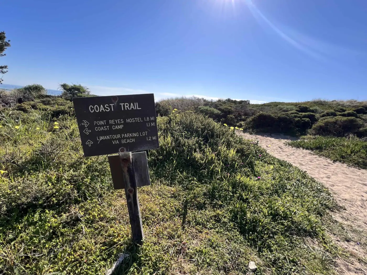 The 5 Best Hikes in Point Reyes National Seashore - Just Chasing Sunsets