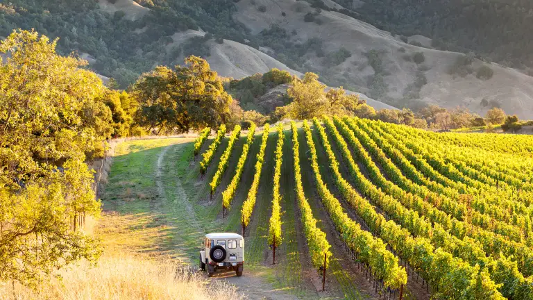 Fun Things to Do In Healdsburg: Wine Tasting, Restaurants + More - Just ...
