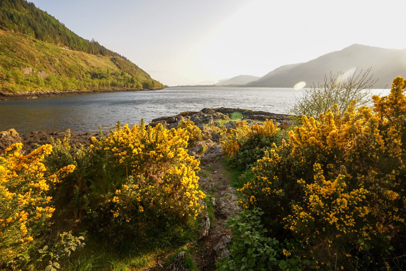 The Perfect 7-Day Scotland Road Trip Itinerary for First Time Visitors ...
