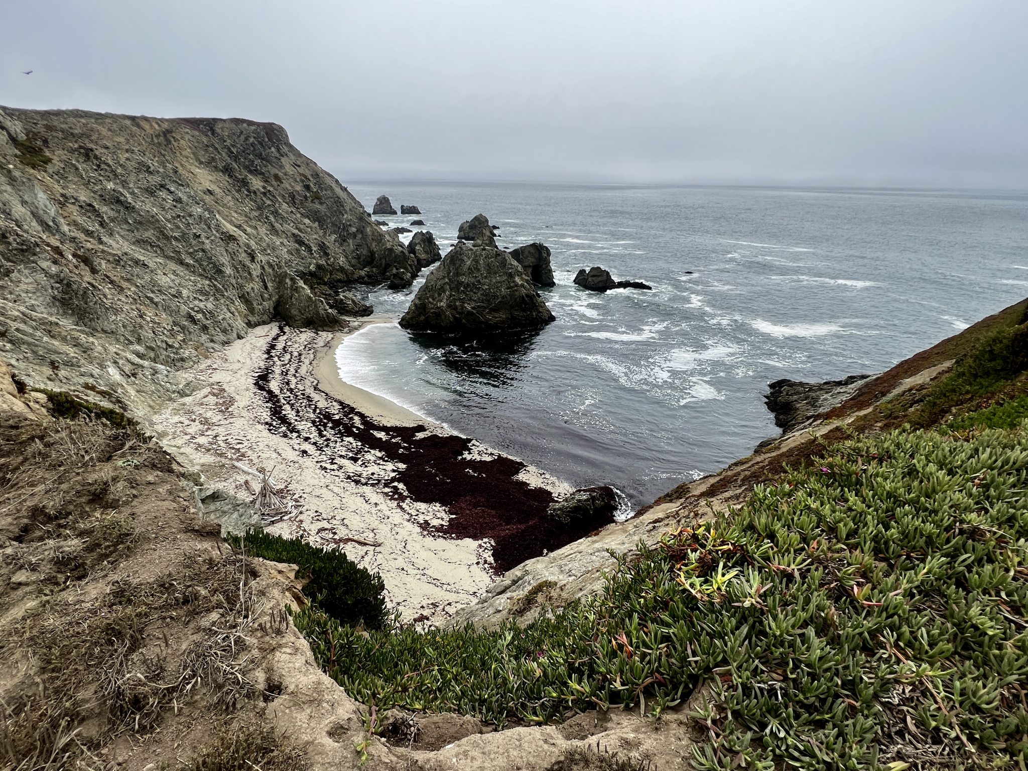 15 Fun Things to Do in Bodega Bay, California - Just Chasing Sunsets