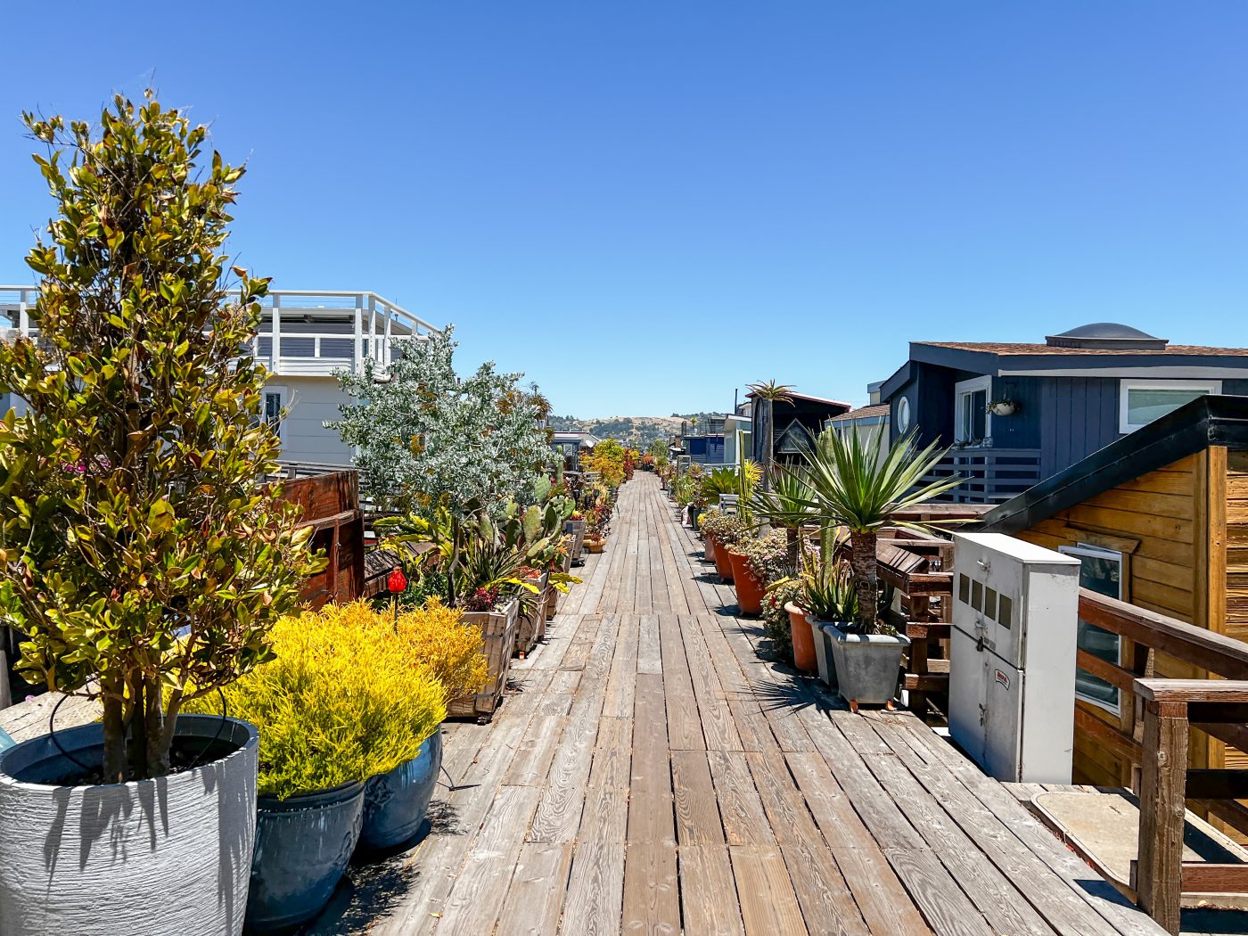 The 13 Best Things to Do in Sausalito, California - Just Chasing Sunsets